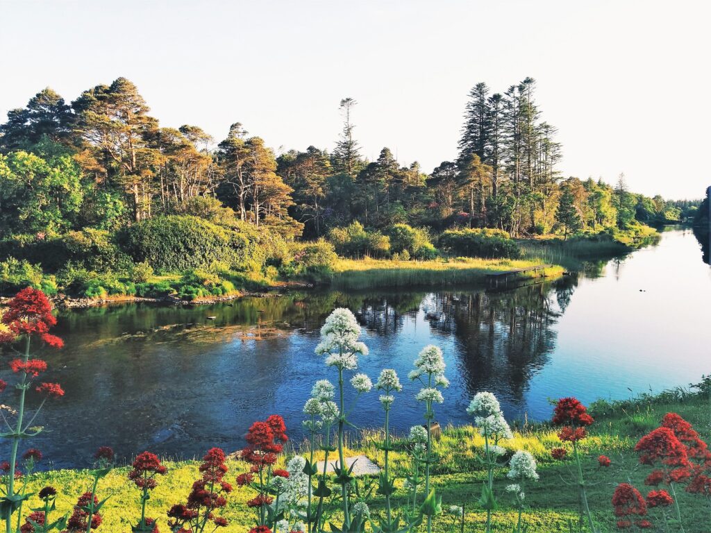 Les enjeux et la protection de la biodiversité